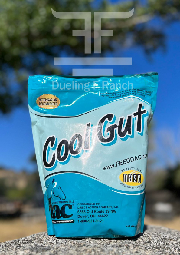dac cool gut, All natural ulcer treatment for horses